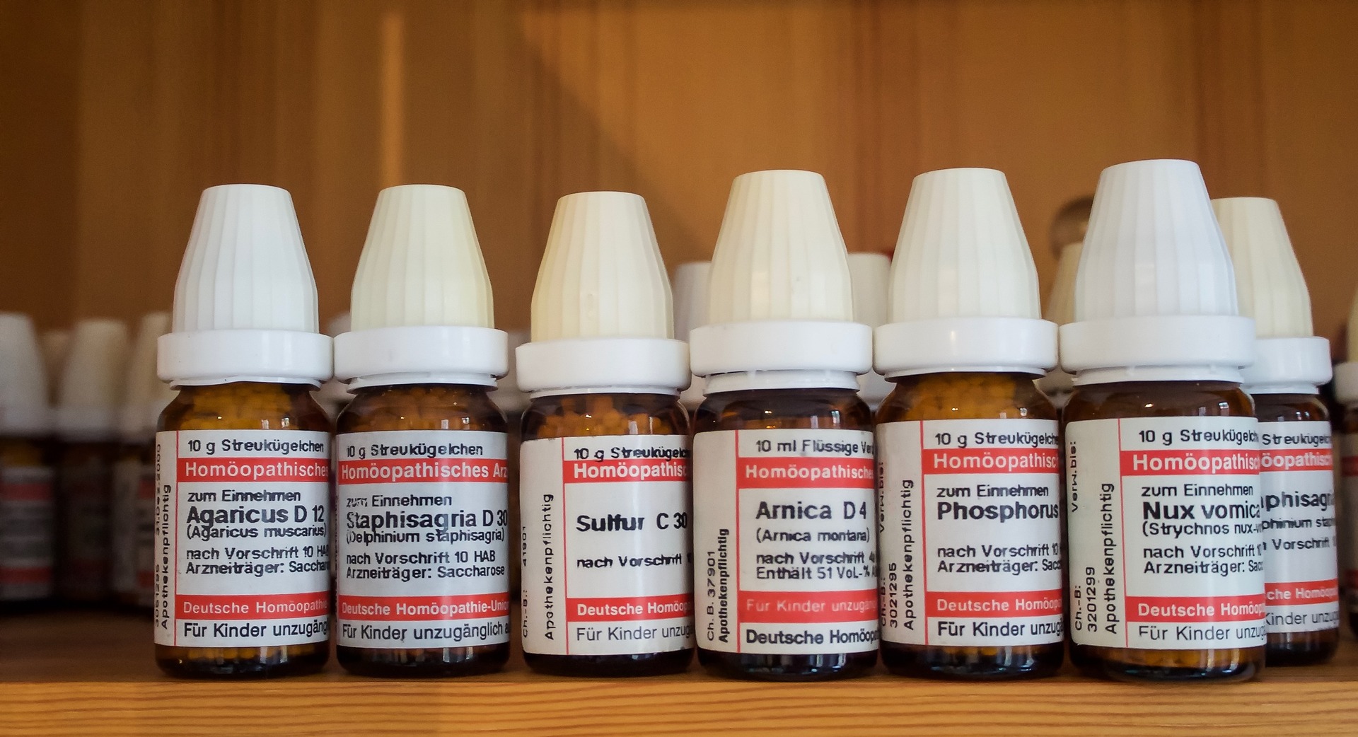 Why Homeopathic Immunization Is Necessary - LMHI 2015